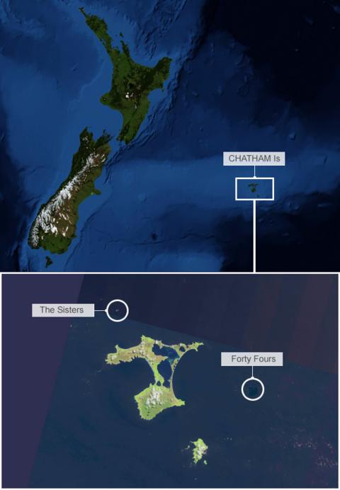 Albatrosses counted from space - BBC News