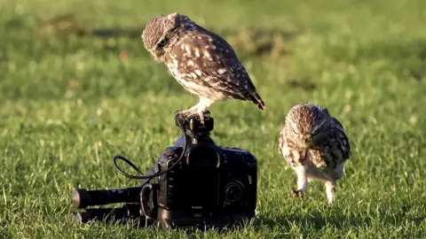 PTSD: Photography helps police officer manage condition