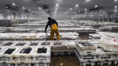 Will technology silence the shout auction at Peterhead fish market?