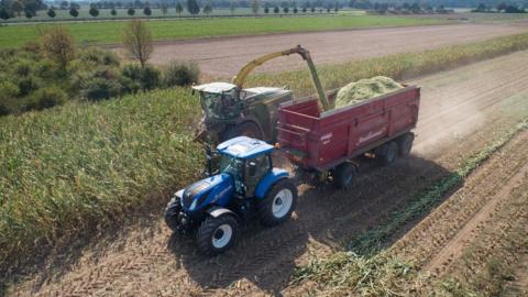 Equinox v equilux - what's the difference? - BBC News