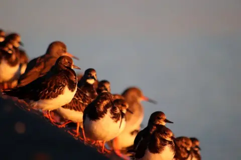 Your pictures of Scotland 25 Dec to 1 Jan