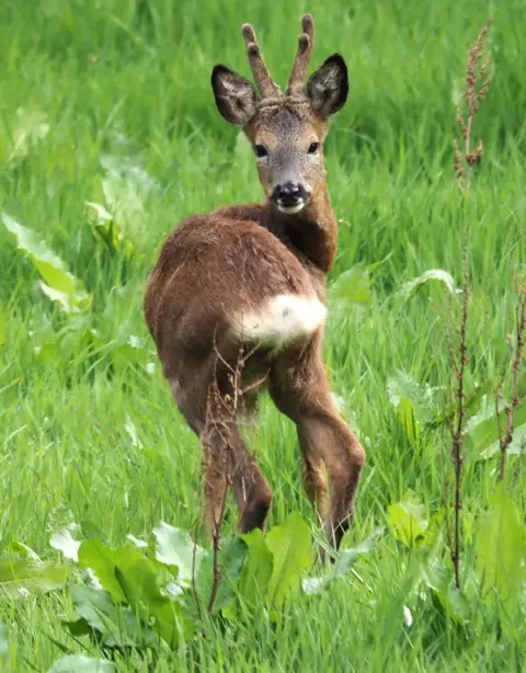Your pictures of Scotland: 6 -13 May