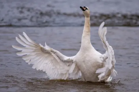 Your pictures of Scotland 15 - 22 January