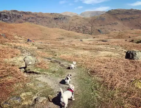 England's Big Picture: 23 - 29 March