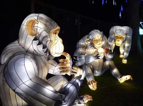 Your pictures of Scotland: 5 - 12 January