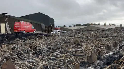 Kilkeel: Farmer 'devastated' after 2,000 pigs die in fire