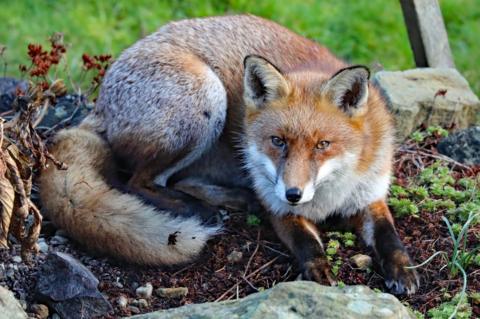 Your pictures of Scotland: 20 - 27 January - BBC News