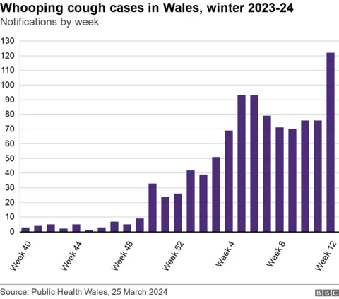 Vaccination plea as whooping cough cases reach 11-year high