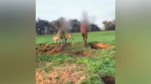 Trial set for man accused of Wiltshire fox-attack offences
