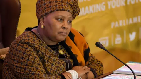 Nosiviwe Mapisa-Nqakula: South Africa investigators raid home of parliament speaker
