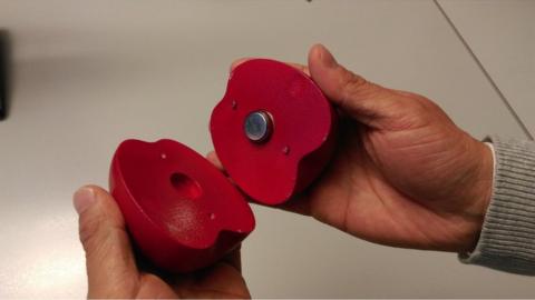 Fruit-shaped sensor 'can improve freshness' - BBC News