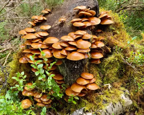 Your pictures of Scotland: 21 July to 28 July