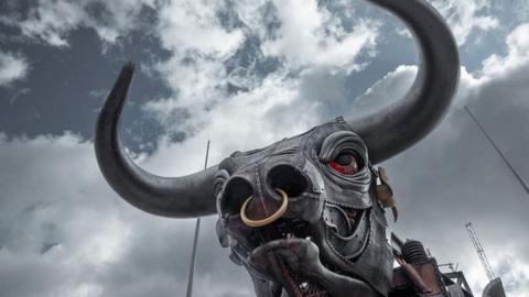 Birmingham bull: Photographers share images on Instagram - BBC News