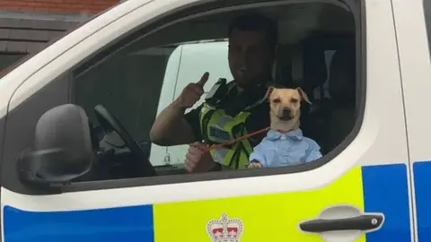 Wolverhampton police remove smartly dressed dog from 'intoxicated' owner