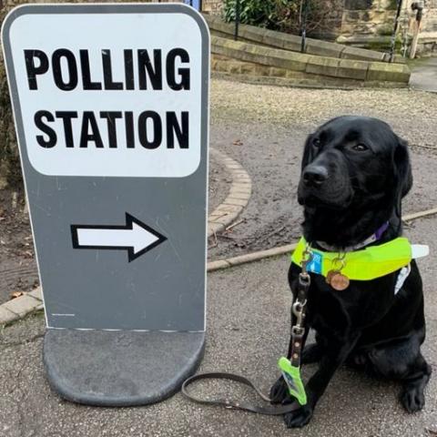 Dogs at polling stations: Pooches at the polls - BBC News