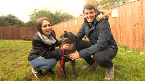 Overlooked rescue dog Faith finally gets new home - BBC News