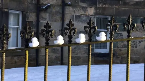 Your pictures of Scotland 5 - 12 February