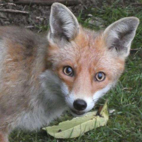 Your pictures of Scotland: 6 -13 May - BBC News