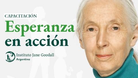 Medio ambiente: por qué Jane Goodall cree que aún hay esperanza ante el ...