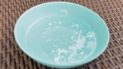 Chemtrails: What's the truth behind the conspiracy theory? - BBC News