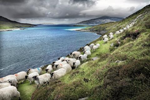 Lake District-based photographer focuses on Harris Tweed - BBC News