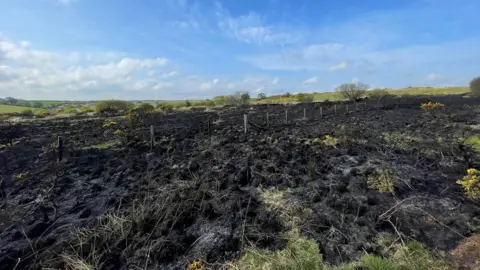 Large gorse fire on Bodmin Moor