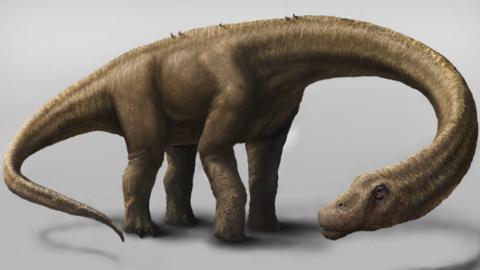 Mystery of dinosaur with giant arms solved - BBC News