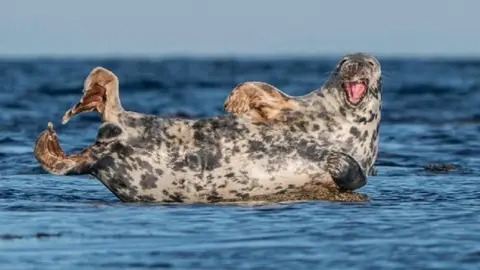 Your pictures of Scotland 2 - 9 July