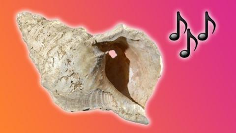 Ancient conch shell musical instrument played for first time in 17,000 ...