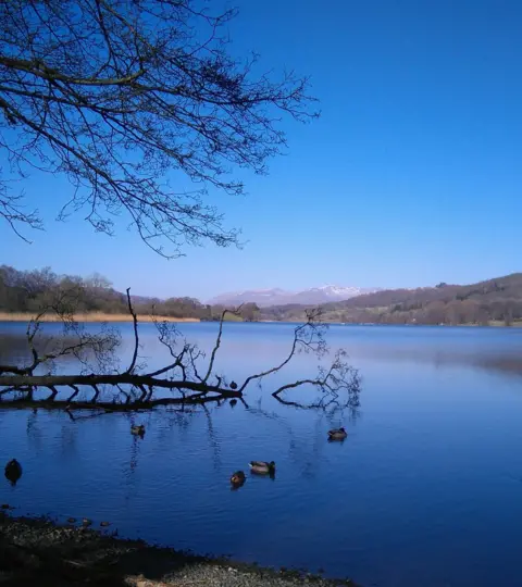 England's Big Picture: 26 February - 4 March