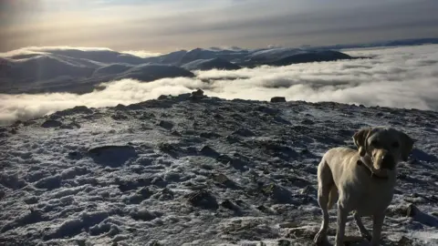 Your pictures of Scotland: 8 - 15 November
