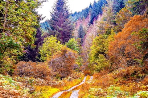 Your pictures of Scotland: 6 - 13 December