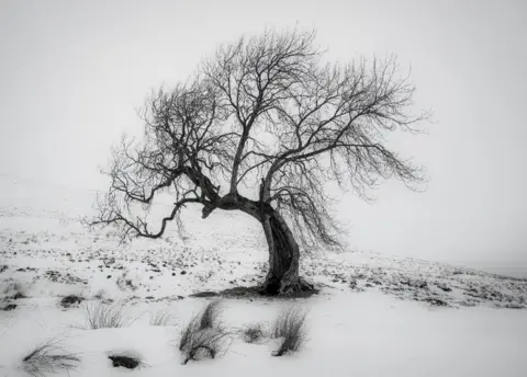 Your pictures of Scotland 12 - 19 February