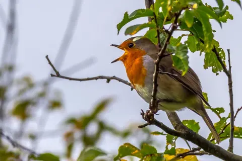 Your pictures of Scotland: 29 September - 6 October