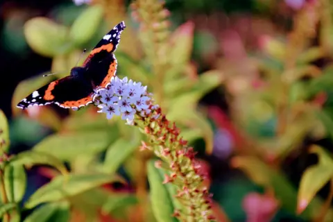 Your pictures of Scotland: 13 - 20 October