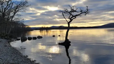 Your pictures of Scotland: 5-12 January