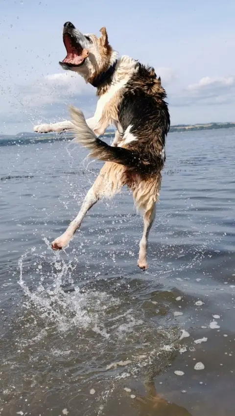 Your pictures of Scotland: 20 - 27 August