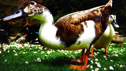 Your pictures of Scotland 8 - 15 May