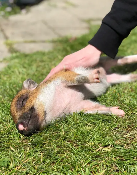 Your pictures of Scotland: 17 - 24 May