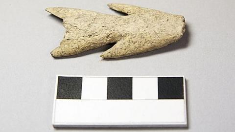 Pictish skeleton found at 1,400-year-old Highland cemetery - BBC News