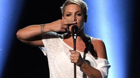 Pink on 'ageing naturally': Singer praised for response to 'troll ...