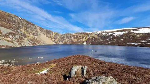 Your pictures of Scotland 19 - 26 March