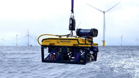 Robots go their own way deep in the ocean - BBC News