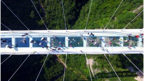 Glass bridge: China opens world's highest and longest - BBC News