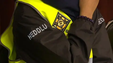 Austerity means police must 'think differently' - Pam Kelly