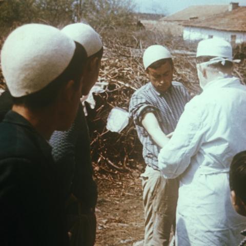 Variola vera: Šta smo naučili od velike epidemije - BBC News na srpskom