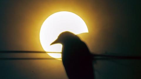 In pictures: Rare solar eclipse darkens Asia on the summer solstice ...