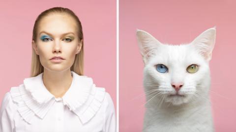 Meet the cats with human lookalikes! - BBC Newsround
