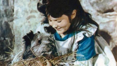 Greyfriars Bobby film star dog honoured in Edinburgh - BBC News