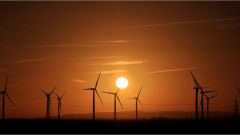 Five amazing things that happened in 2017 - BBC Newsround